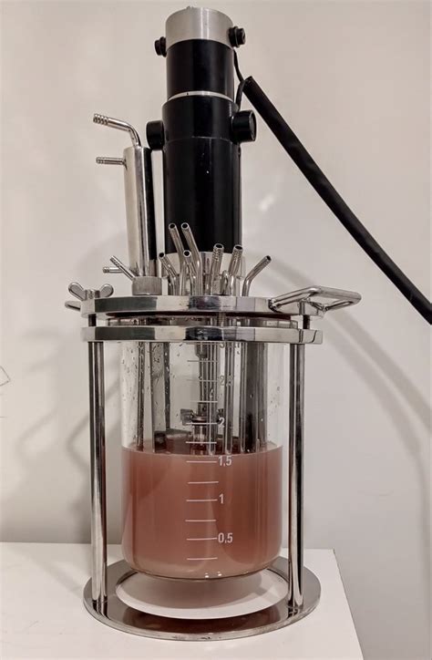 Parallel Fermenter 6kw Capacity Upto 10 L At Rs 4000000 In Mohali Id 25433848348