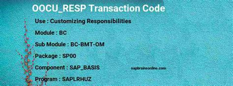 OOCU RESP SAP Tcode For Customizing Responsibilities