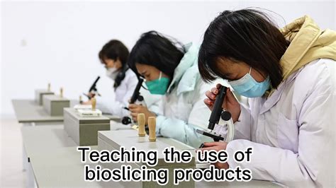 Laboratory Glassware Teaching Microscope Slides Microslides Biology
