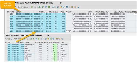 Ausp My Experiments With Abap