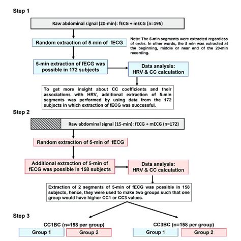 Summary Of Data Analysis The Flowchart Provides A Graphical Summary Of