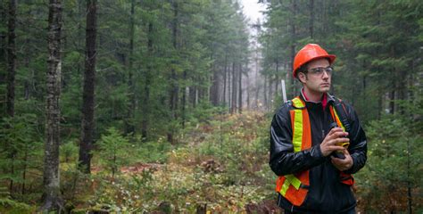 Getting Certified And Implementing Forestry Sfi Atfs Sustainable
