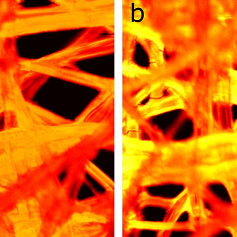 Simplified Schematic Diagram Of The Multiphoton Microscope Pmt Download Scientific Diagram