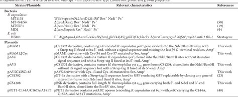 Table 1 From During Cytochrome C Maturation Ccmi Chaperones The Class I Apocytochromes Until The