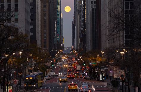 Luna De Castor Cómo Y Cuándo Ver La Luna Llena Que Despide Noviembre