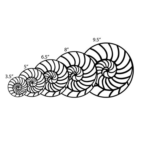 Nautilus Shell Stencil
