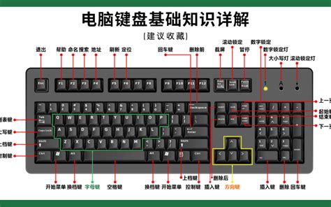 电脑键盘基础知识详解大全技巧，从零开始认识学习电脑键盘按键讲解快捷键 哔哩哔哩