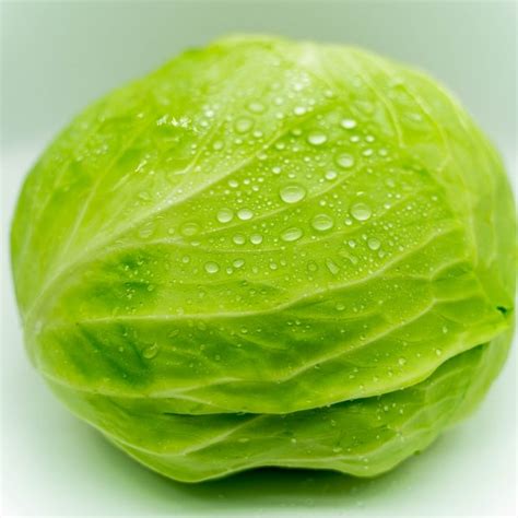 Whole Sour Cabbage Take 1 Discovering The Recipe ⋆ Seasons In Garden
