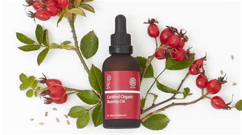 The Proven Benefits Of Skincare Oils Fragrance Direct Perfume Blog