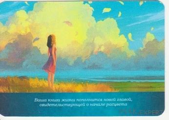 Возможности и силы - МАК Эксперт