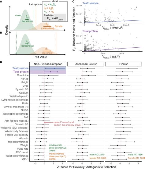 Amplification Is The Primary Mode Of Gene By Sex Interaction In Complex