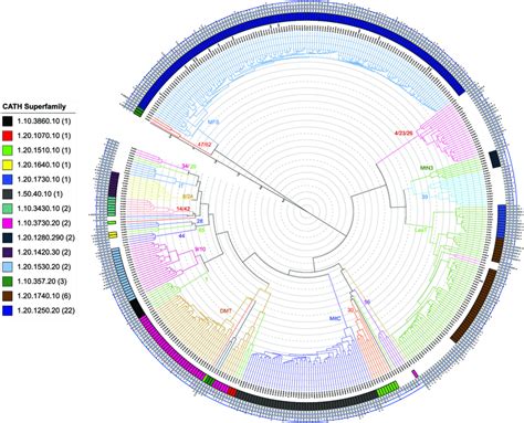 hierarchical clustering based on structural similarity between