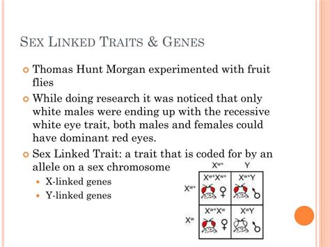 Ppt Chromosomes And Inheritance Powerpoint Presentation Free Download