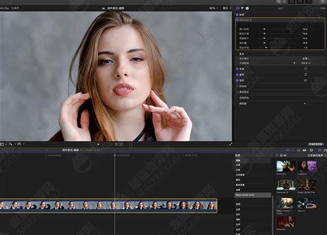 Fcpx插件 中文汉化mac苹果系统红巨人降噪磨皮美颜调色插件套装 Magic Bullet Suite V1500 附带详细安装教程