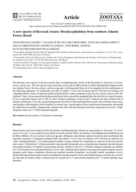 Pdf A New Species Of Flea Toad Anura Brachycephalidae From Southern Atlantic Forest Brazil