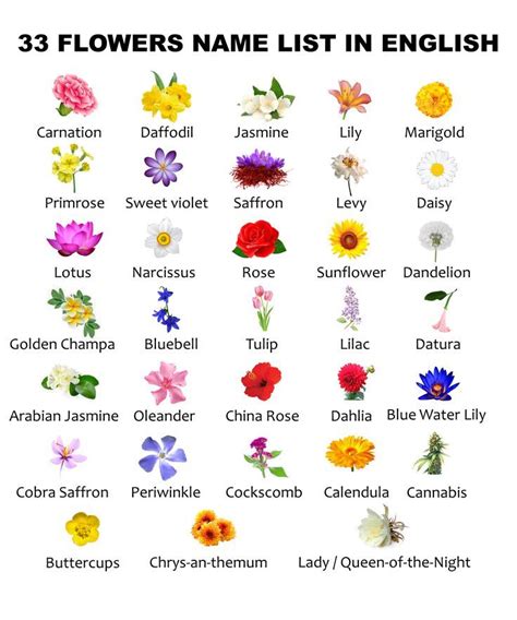 33 Flowers Name List In English With Pictures Flowers Name List