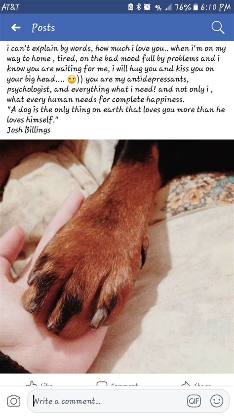 Pin By Destiny Elizabeth On Veterinary Technician Humorquotes