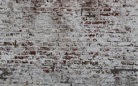Wallpapers Rock Structure Texture Old Wall 2560x1600 From Vozuru