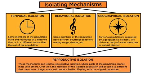 Reproductive Isolation — Definition And Examples Expii