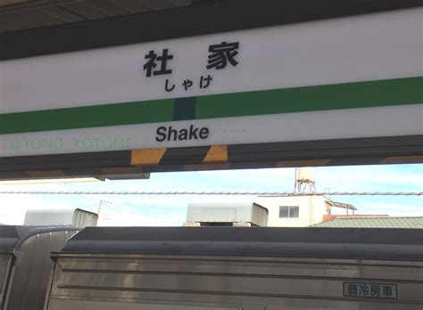 鉄道雑学豆知識bot仮 on Twitter しゃけ