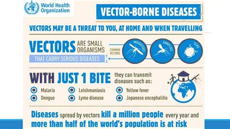 National Vector Borne Disease Control Programme NVBDCP PPTX