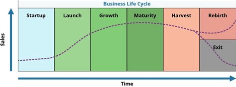 22 The Process Of Becoming An Entrepreneur Nscc Foundations Of