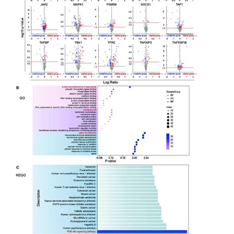 Screening For Hub Genes Associated With Immune Escape From Breast