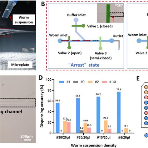 Characterization Of The Microfluidic Module A A Close Up Photograph