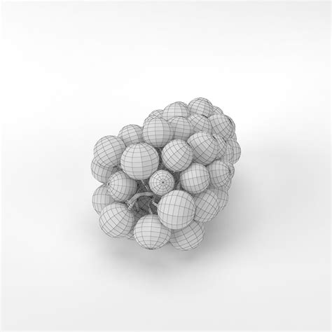 현실적인 블루 포도 3d 모델 19 Max Ma Obj Fbx Free3d