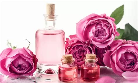 Cómo usar el agua de rosas y cuáles son sus beneficios