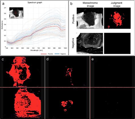 Discriminant Algorithm Image Creation And Image Of Validation Test A