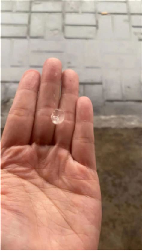 Storm Brings Heavy Rain And Hail To Shanghai Shine News