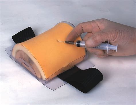 Pvc Intramuscular Injection Practice Kits Nursing Manikin For Medical