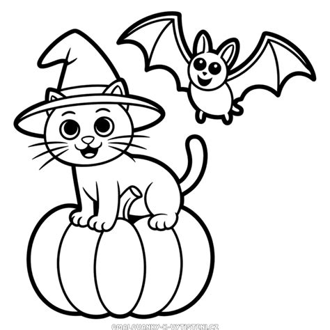 Koťátko Omalovánka Omalovánky Pro Děti Zdarma K Vytištění