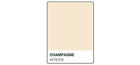 How Champagne Color Can Give Your Projects A High End Look HipFonts