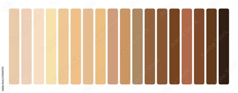 Human Skin Tone Set Light To Dark Vector Art Stock Vector Adobe Stock