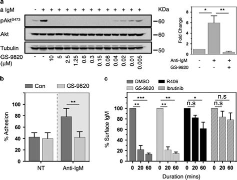 Pi3kδ Inhibition Elicits Anti Leukemic Effects Through Bim Dependent