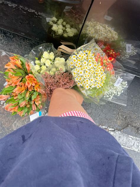 21 Oopsie Daisy Ideas In 2025 Flower Therapy Nothing But Flowers Pretty Flowers