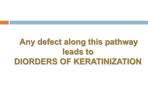 Biology Of Keratinocytes Pptx
