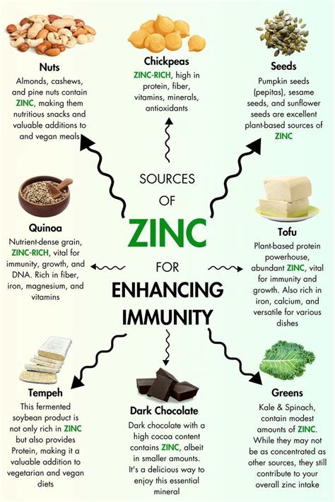 8 Zinc Rich Foods To Enhance Immunity Artofit