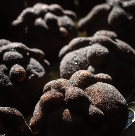 Cómo Hacer Pan De Muerto Negro Con Ceniza De Totomoxtle No No Es De