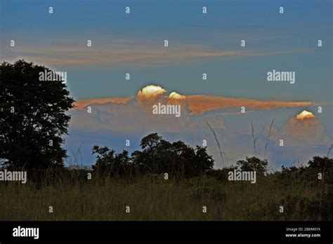 Evening Sky In Hwange National Park Taken On February 18th 2020