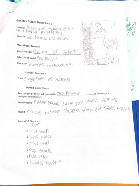 Genetic Notes Pdf