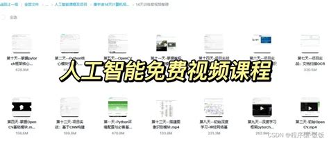 Yolo如何实现实时目标检测？它的速度和准确度如何平衡？ Csdn博客