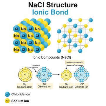 Nacl Structure