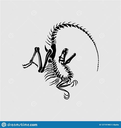 Graphic Print Of Velociraptor Skeleton Stock Vector Illustration Of