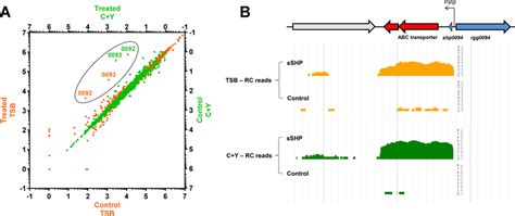 Transcriptome Analysis Revealed One Gene Cluster Significantly Download Scientific Diagram