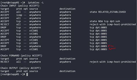 IPtables Installation And Configuration Can T Connect From LBR