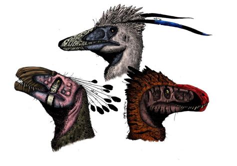 Austroraptor Vs Utahraptor