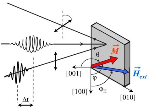 Fig S1 Schematic Diagram Of The Experimental Set Up For A Detection Download Scientific